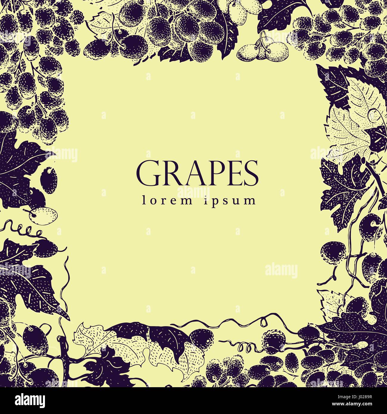 vector grape frame. Can be use for background, design, invitation ...