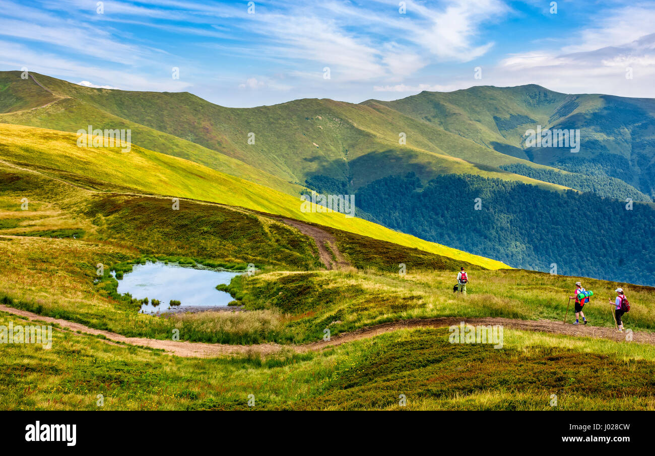 summer landscape in mountains. small swamp between two path on hill ...