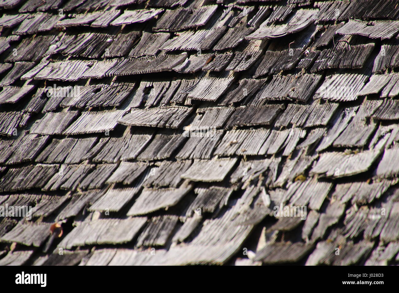 shingles on a roof Stock Photo - Alamy