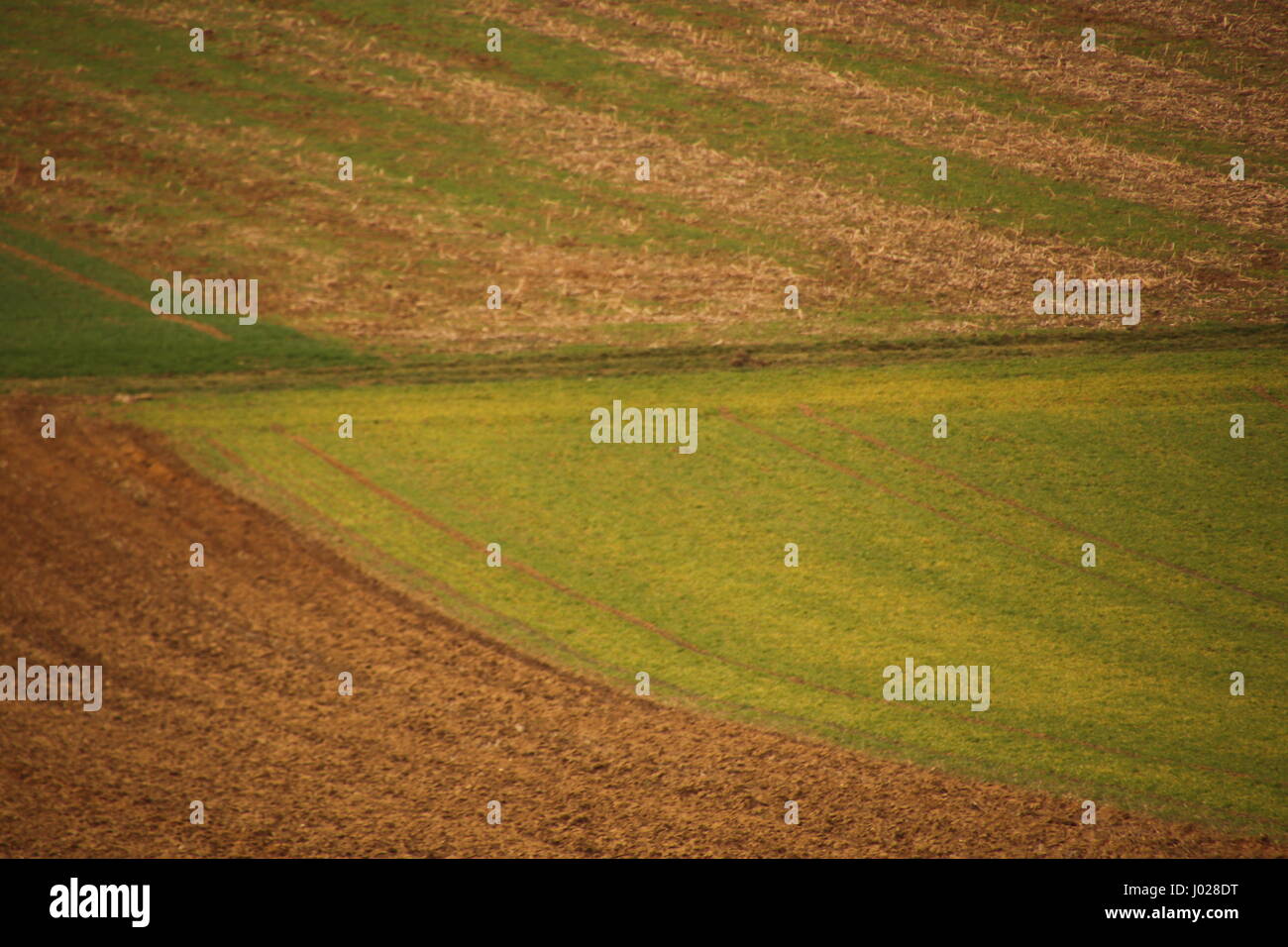 agriculture - fields with different color Stock Photo - Alamy