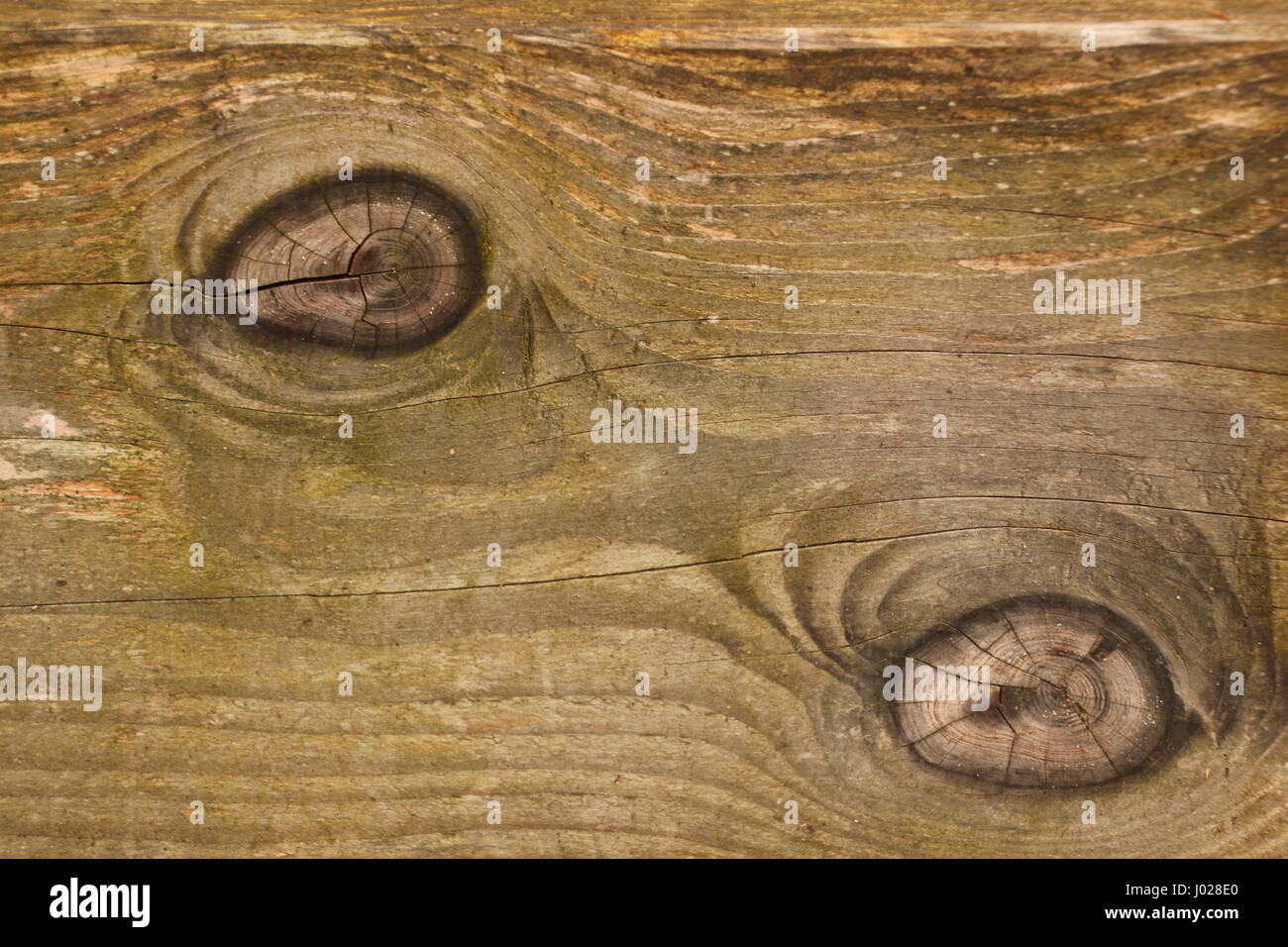 wood structure with knothole Stock Photo - Alamy