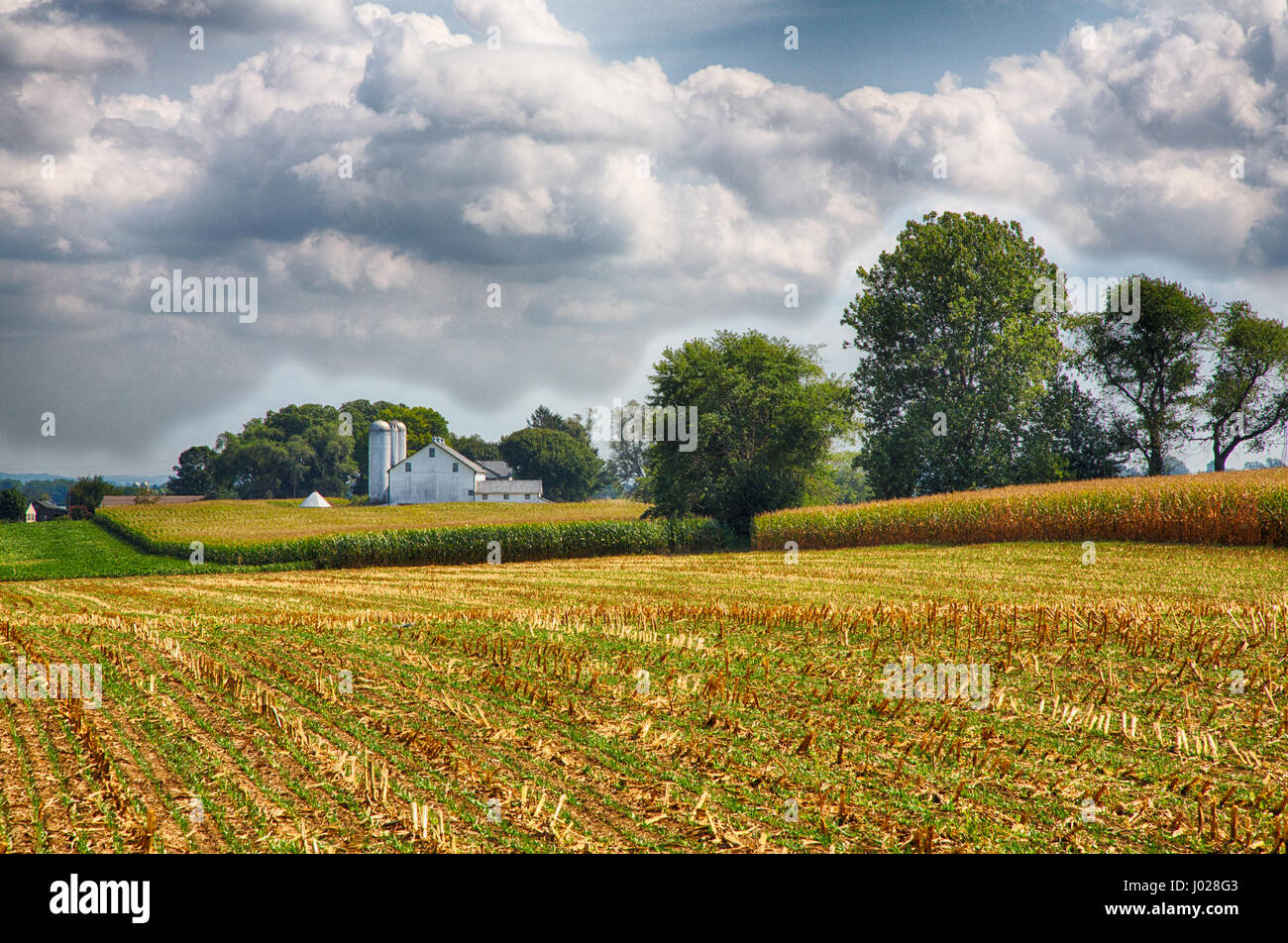 Amish farms in rural pennsylvania hi-res stock photography and images ...