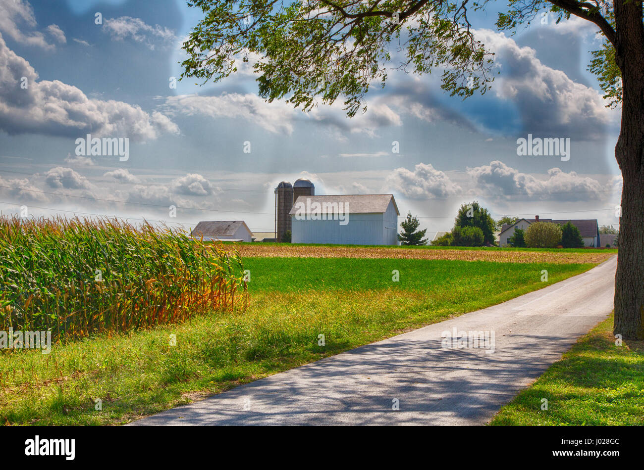 Amish farms in rural pennsylvania hi-res stock photography and images ...