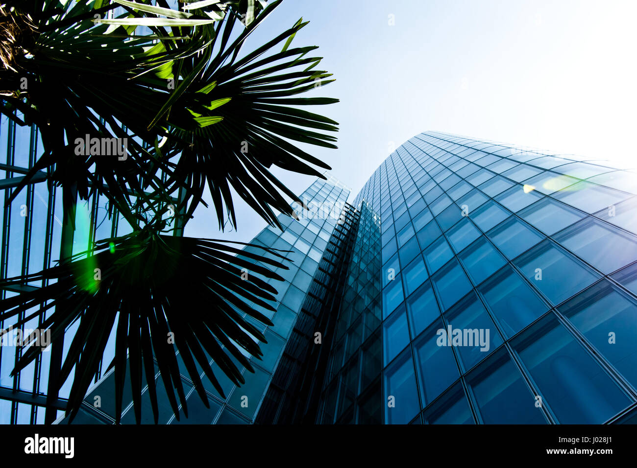 Abstract building. blue glass wall of skyscraper Stock Photo - Alamy