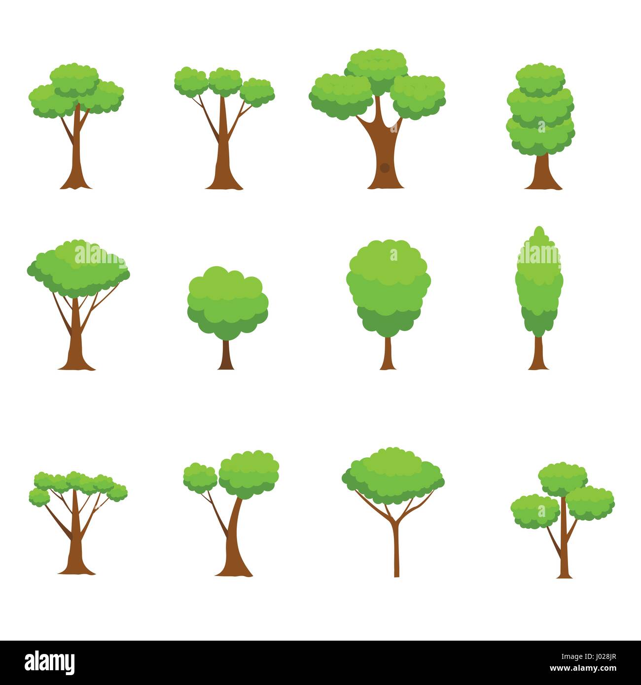 Green leaf rowan plant Stock Vector Images - Alamy