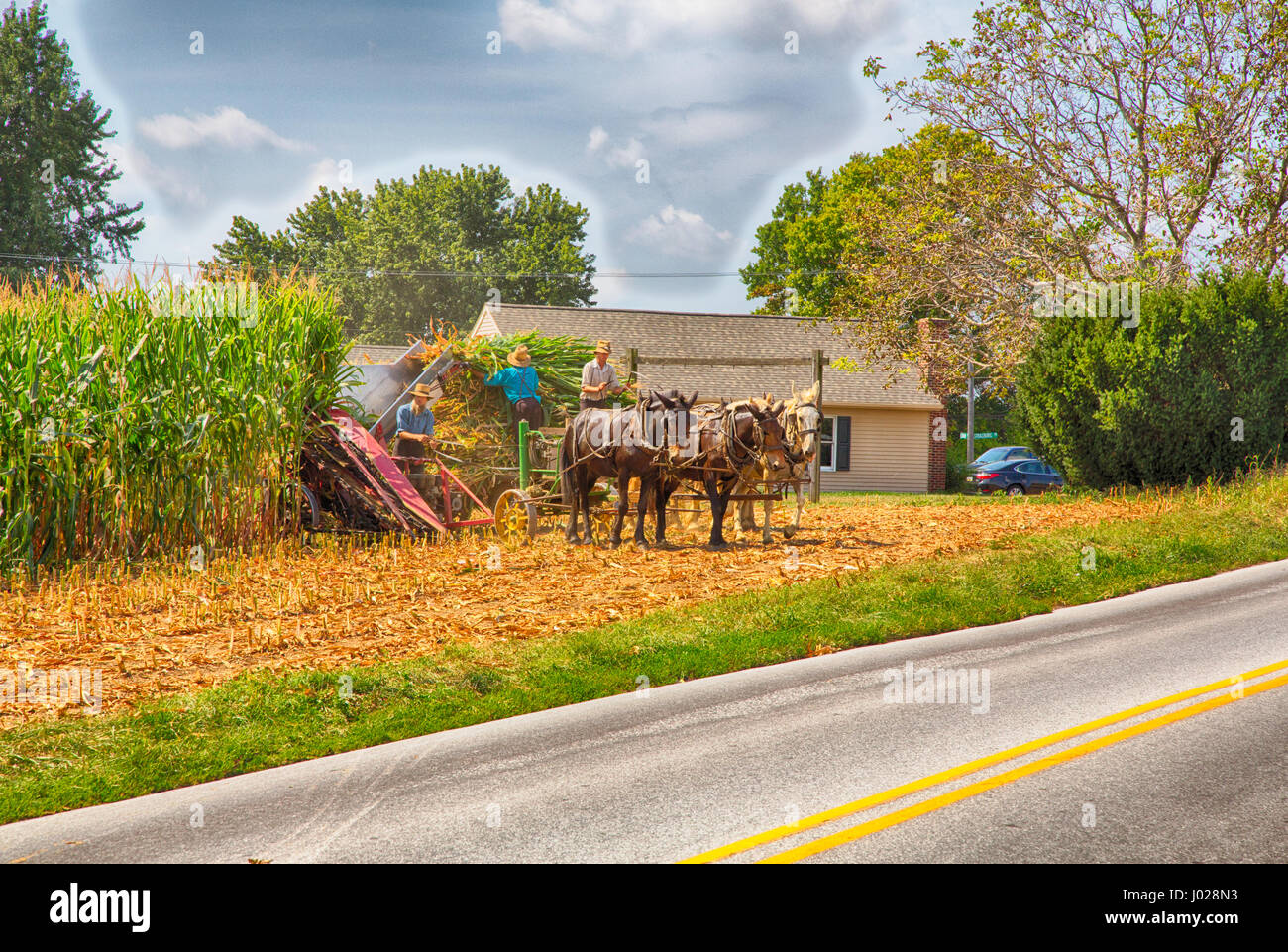 Pennsylvania lancaster corn hi-res stock photography and images - Alamy