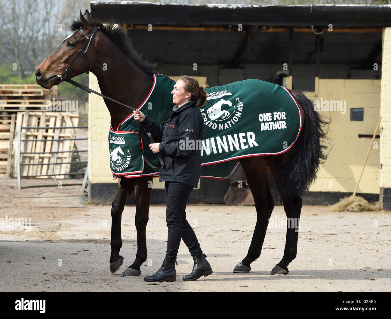 Grand National winner One For Arthur is paraded by stable girl Jaimie ...