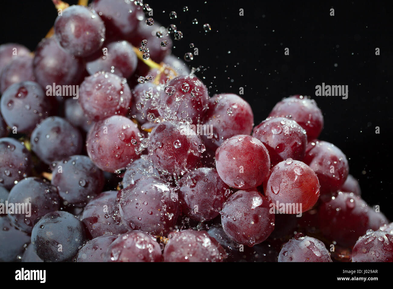 Grapes and flowing water Stock Photo - Alamy