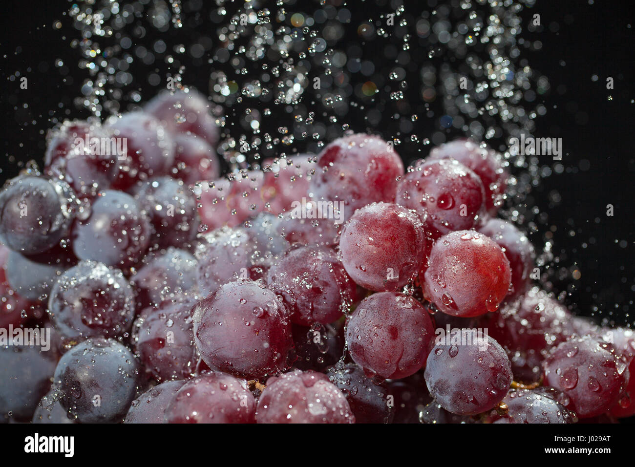 Grapes and flowing water Stock Photo - Alamy