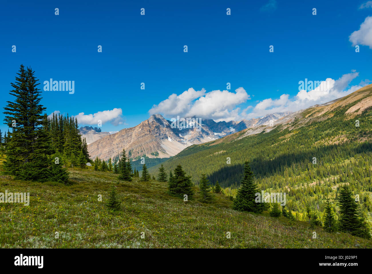 Hiking views of a high alpine meadow from Molar Pass and Mosquito Creek ...