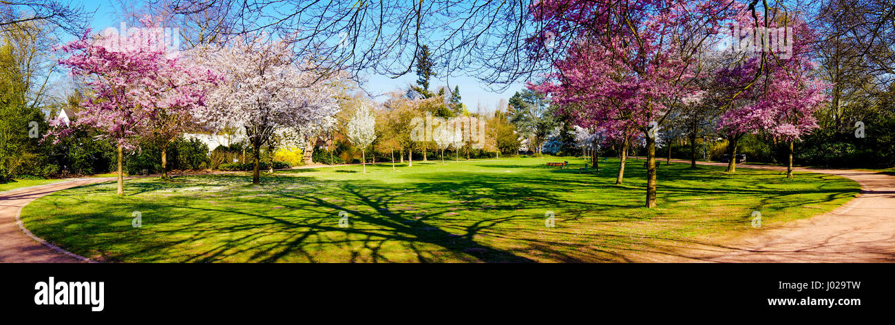 Panoramic view of a park Stock Photo - Alamy