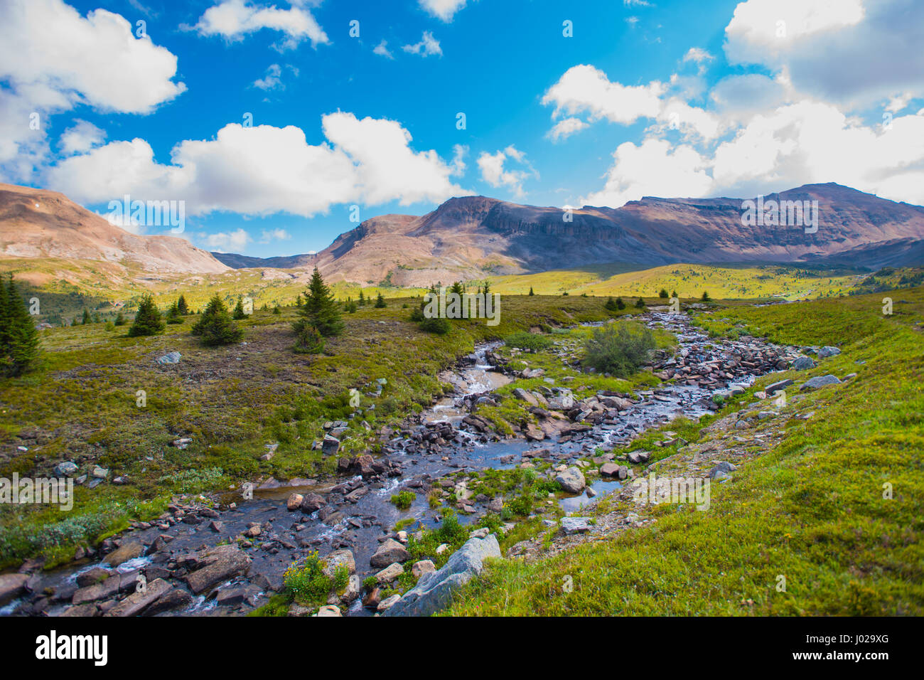 Hiking views of a high alpine meadow from Molar Pass and Mosquito Creek ...