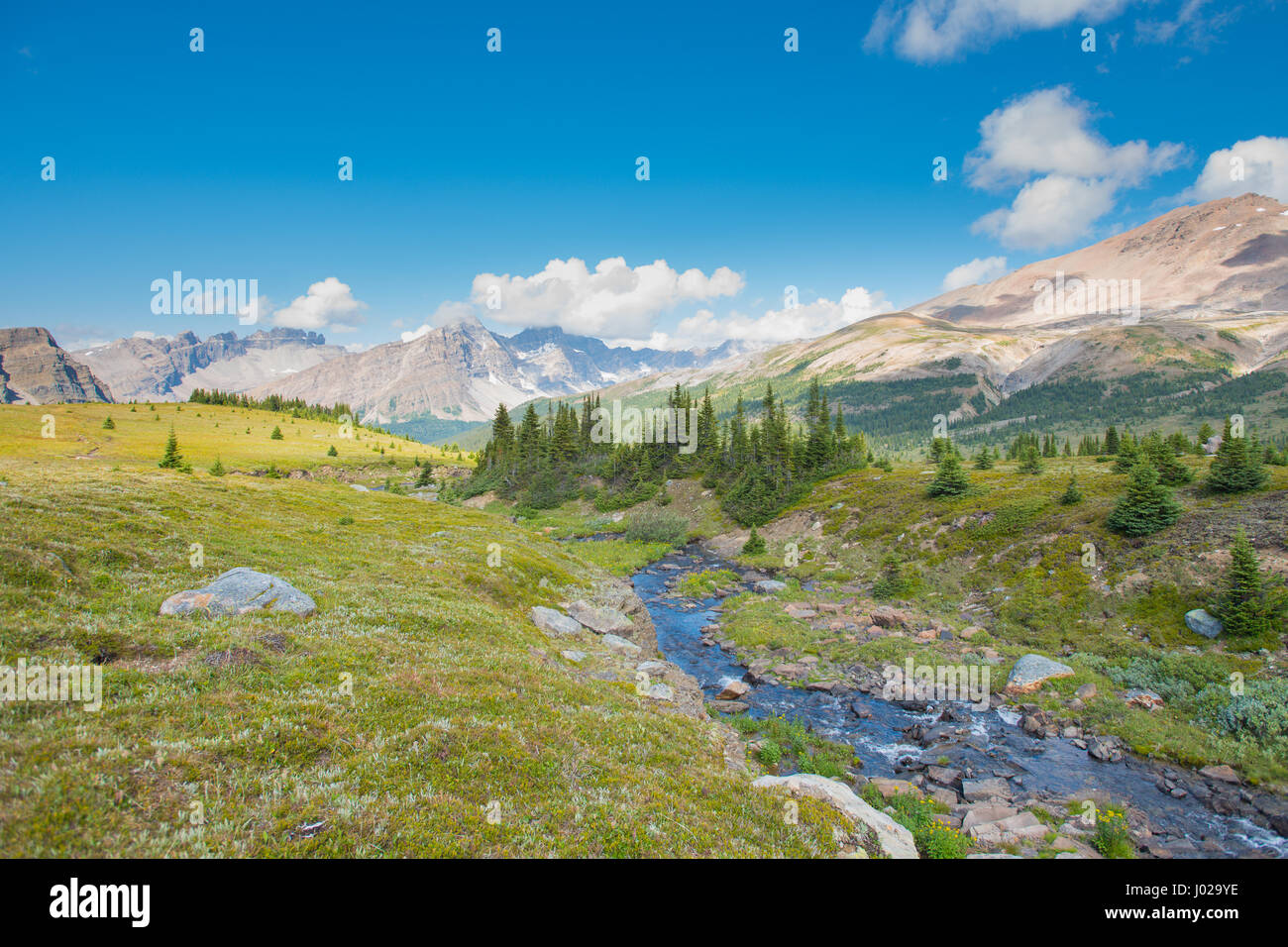 Hiking views of a high alpine meadow from Molar Pass and Mosquito Creek ...