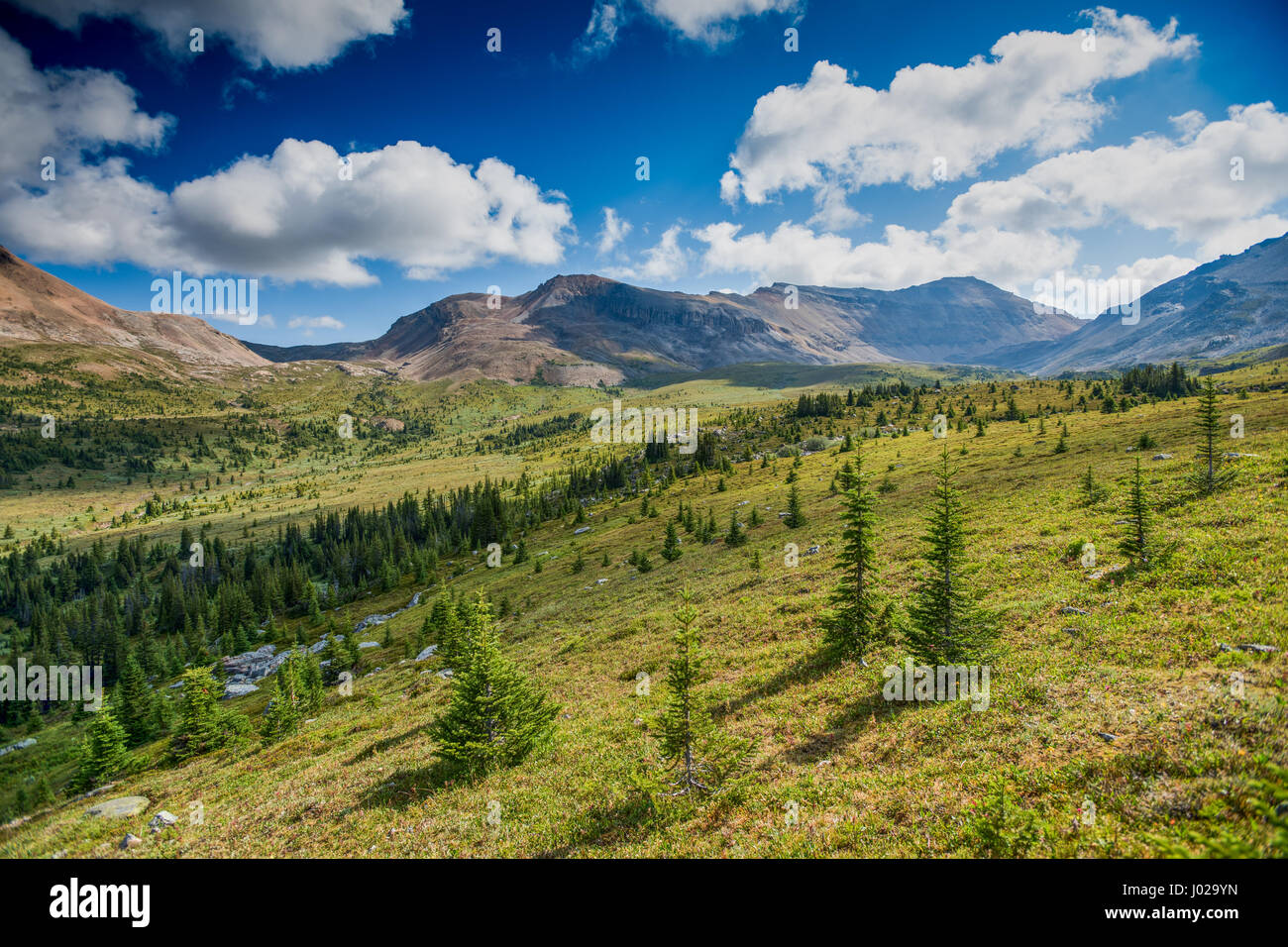 Hiking views of a high alpine meadow from Molar Pass and Mosquito Creek ...