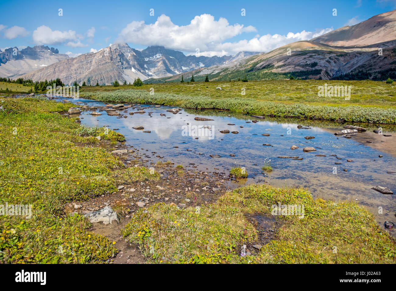 Hiking views of a high alpine meadow from Molar Pass and Mosquito Creek ...