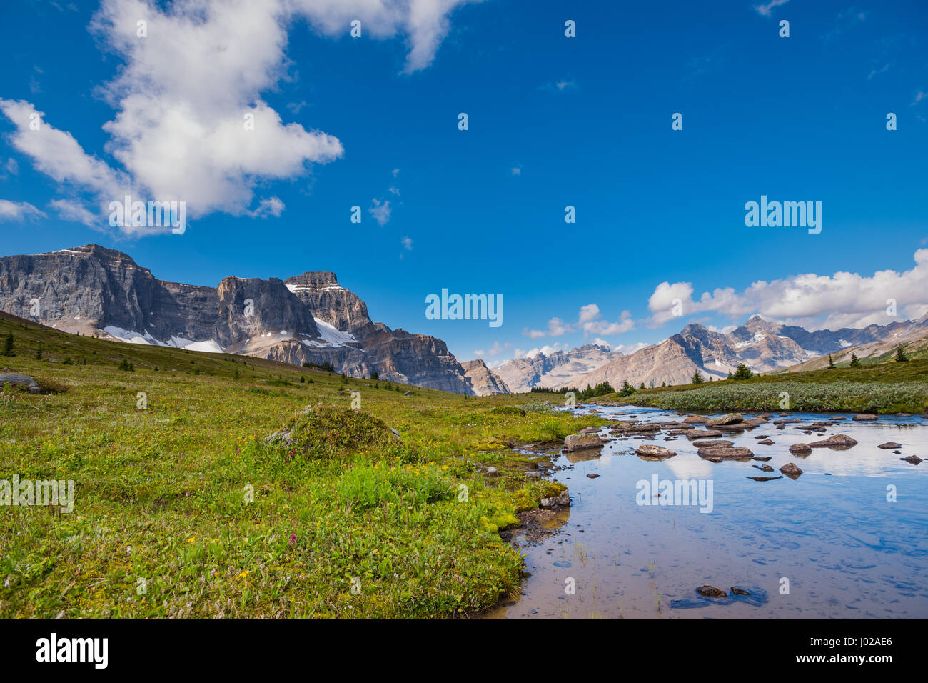 Hiking views of a high alpine meadow from Molar Pass and Mosquito Creek ...