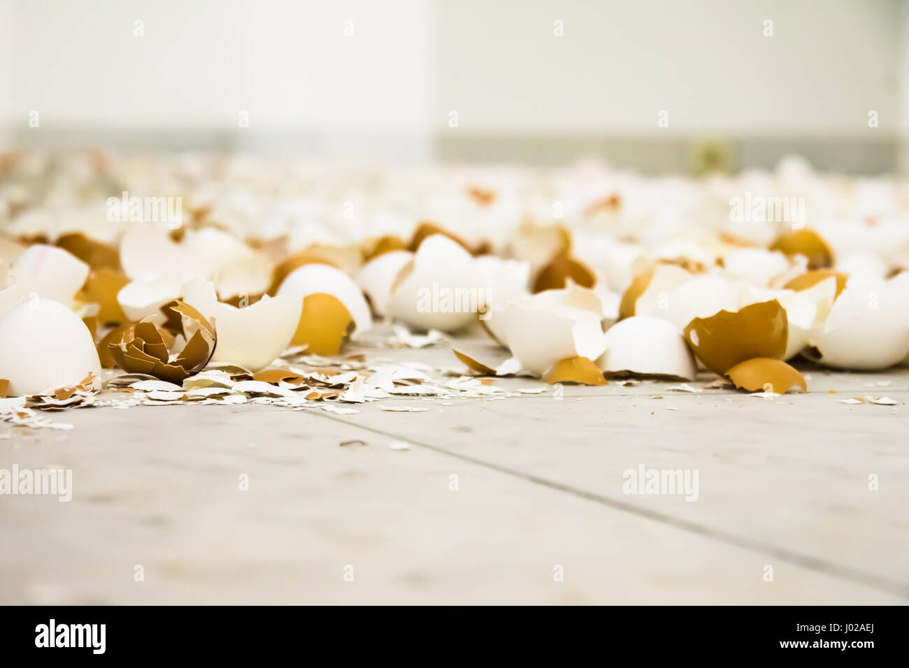Eggs shell. Eggshell Stock Photo - Alamy
