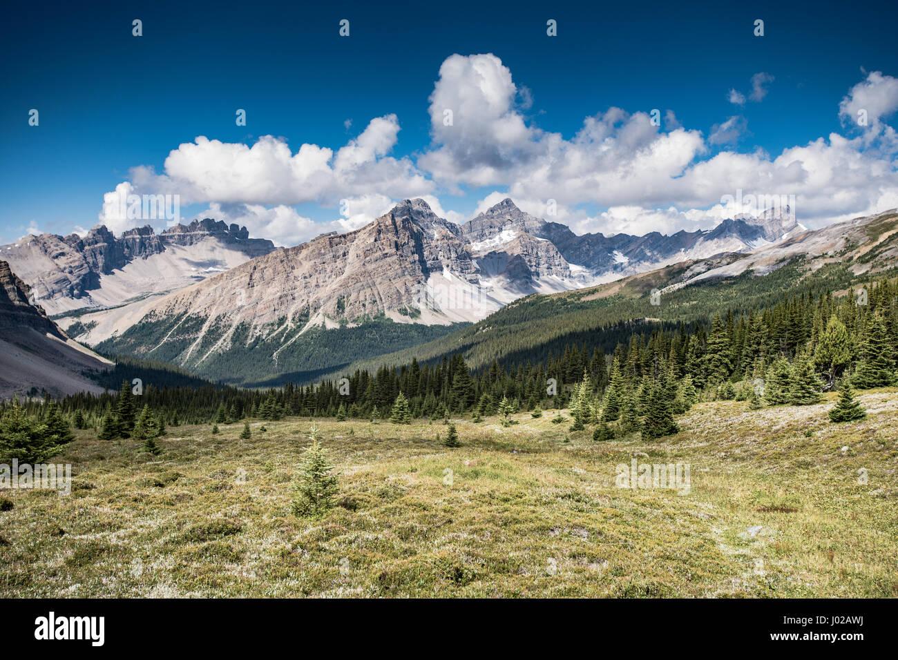 Hiking views of a high alpine meadow from Molar Pass and Mosquito Creek ...
