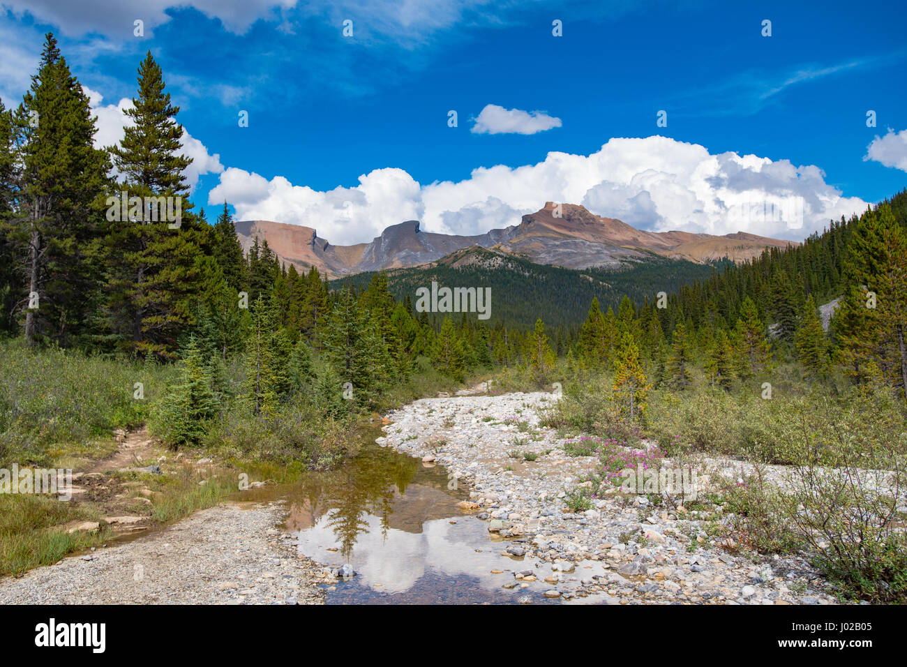 Hiking views of a high alpine meadow from Molar Pass and Mosquito Creek ...