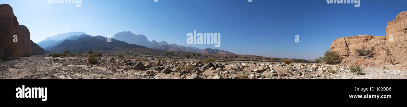 Jordan biodiversity hi-res stock photography and images - Alamy