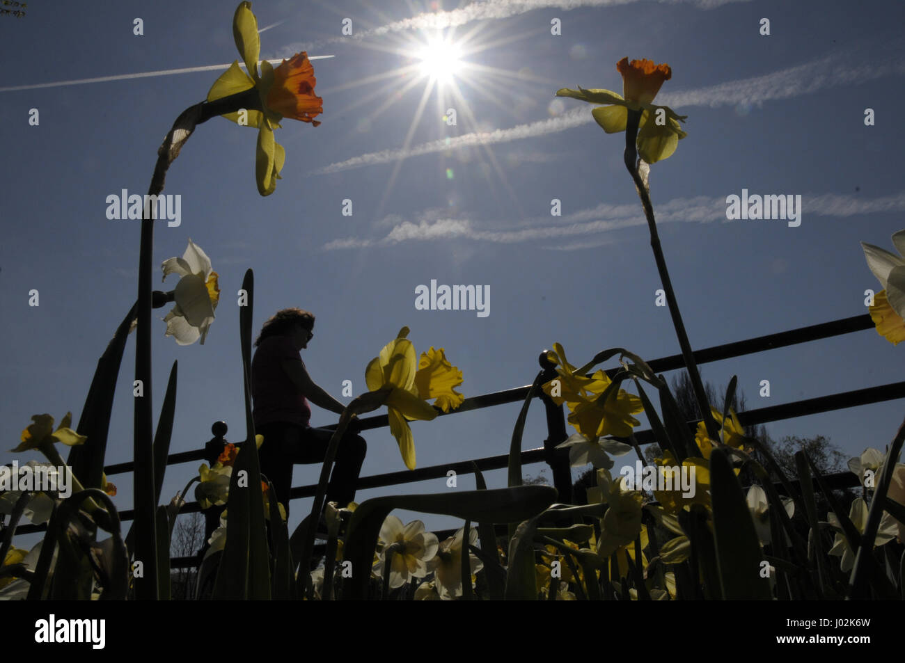 Brecon, Wales, UK. 9th Apr, 2017. A woman enjoys a hot spring day by ...