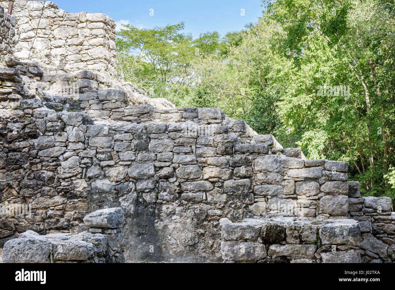 ancient Mayan stone wall in Coba Ruins, Mexico Stock Photo - Alamy