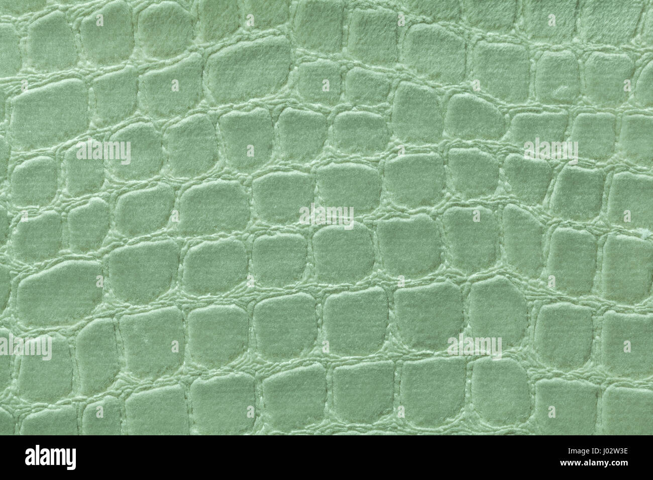 Green Alligator Skin Sun Burn