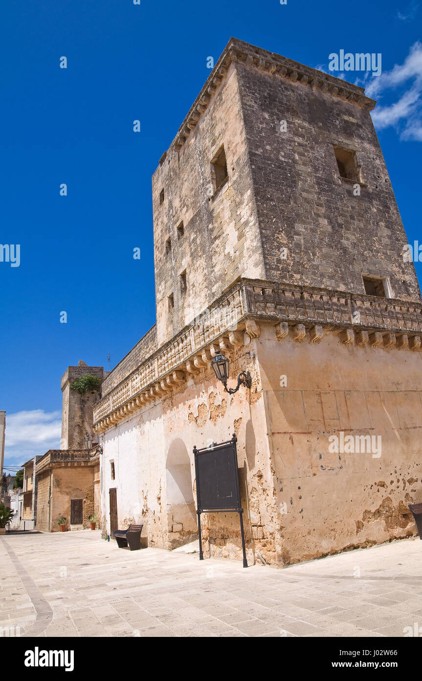 Felline hi-res stock photography and images - Alamy