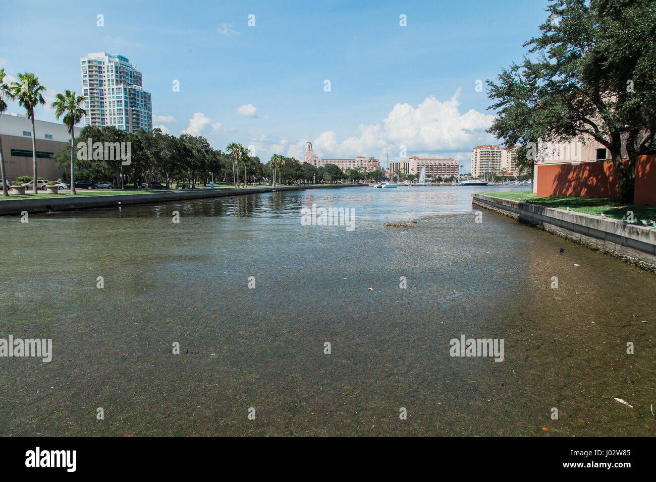Vinoy Park in Saint Petersburg Florida Stock Photo - Alamy
