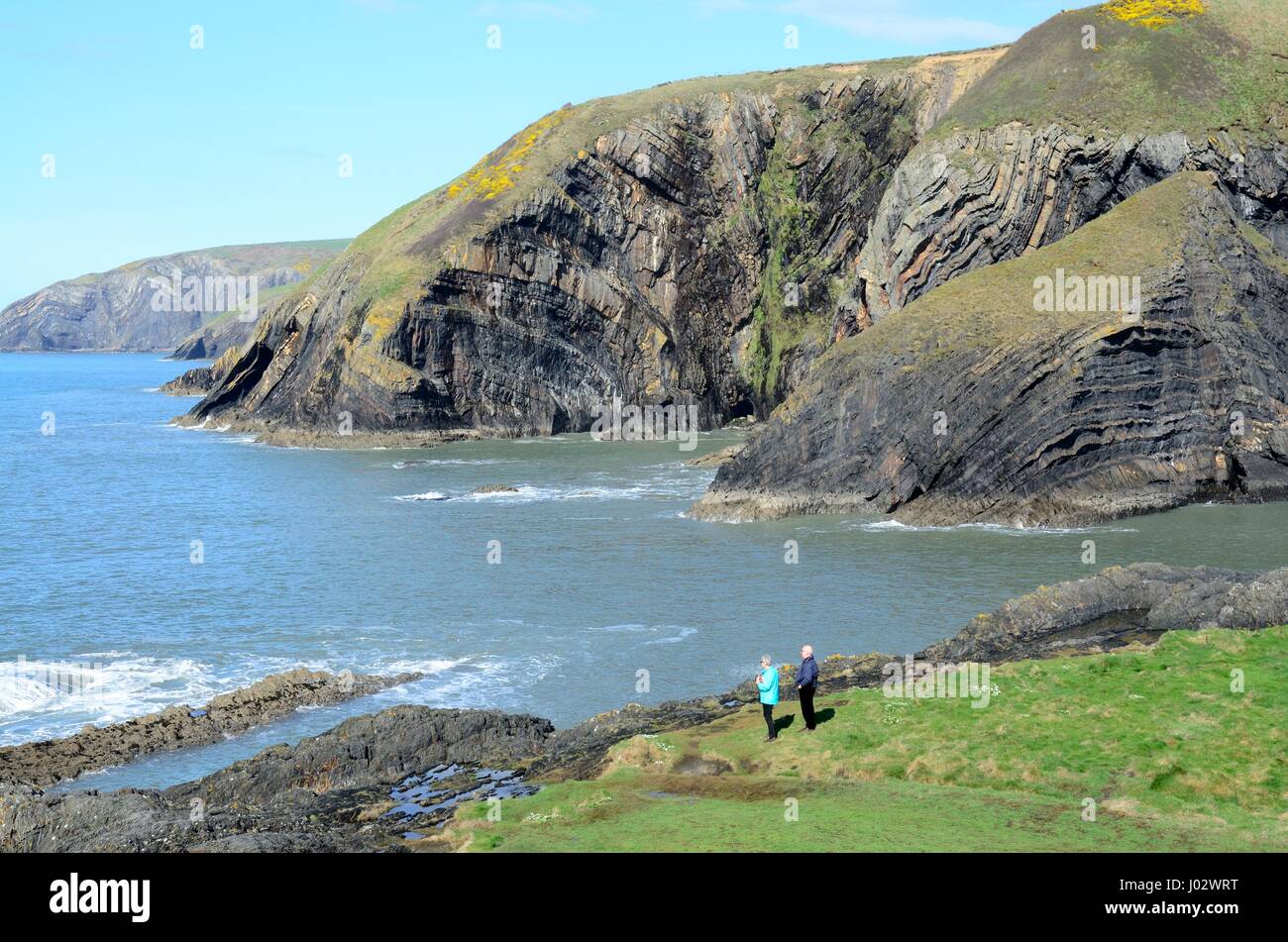 Ceibwr Bay people tourists looking at Welsh coast coastal view of ...