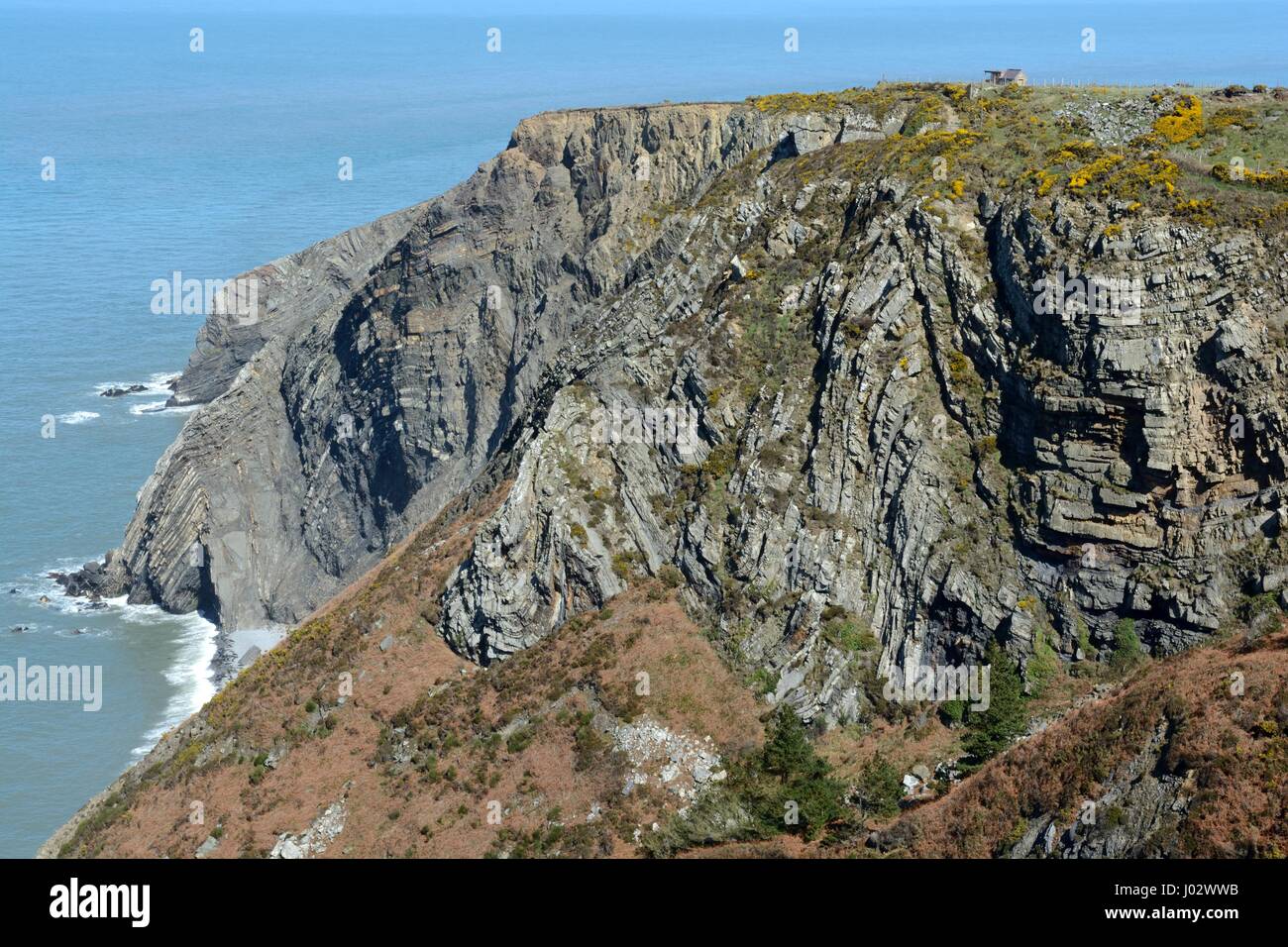 Head dramatic hi-res stock photography and images - Alamy