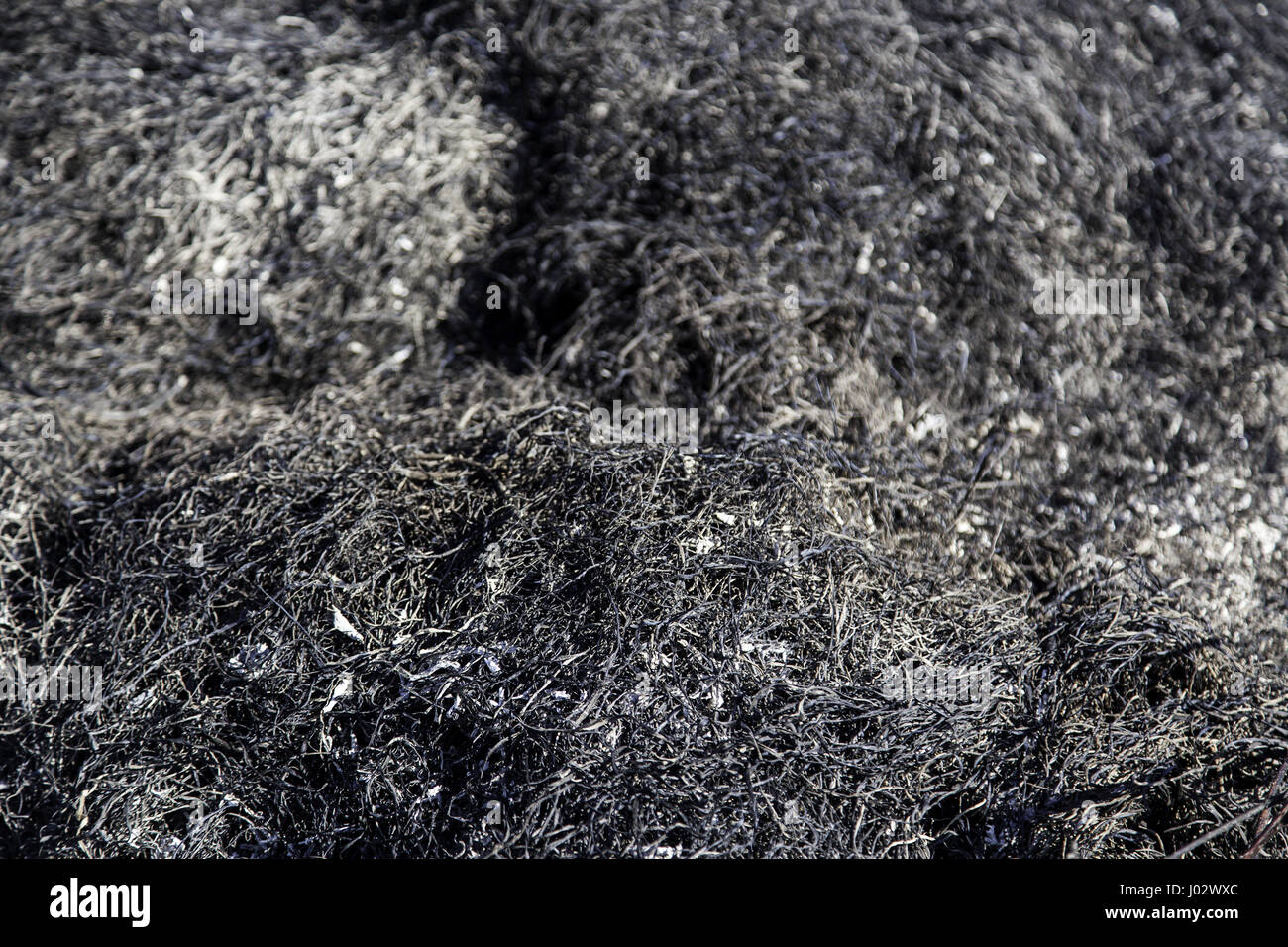 Burned black yellow grass texture hi-res stock photography and images ...