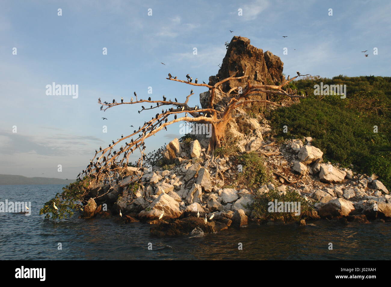 Lake victoria east africa hi-res stock photography and images - Alamy