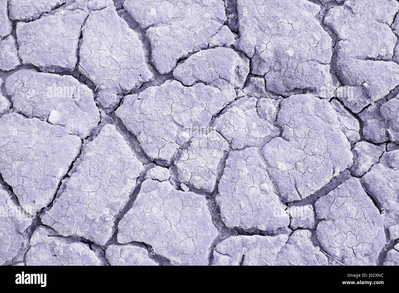 Dry earth ecological disaster, detail of climate change, drought and ...