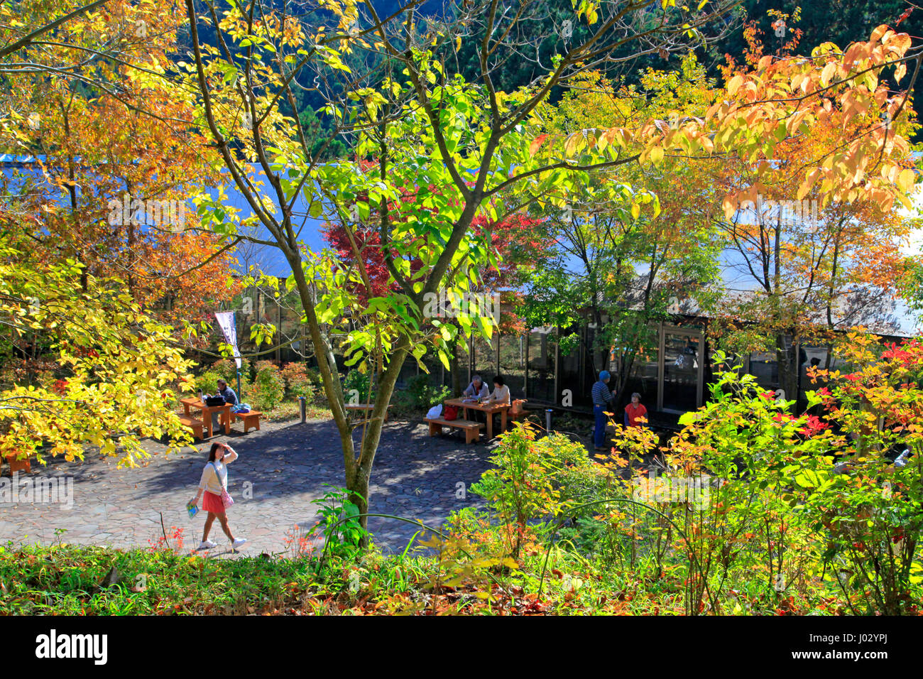 Seoto-no-Yu Spa Akigawa Keikoku Valley Akiruno-shi Tokyo Japan Stock ...