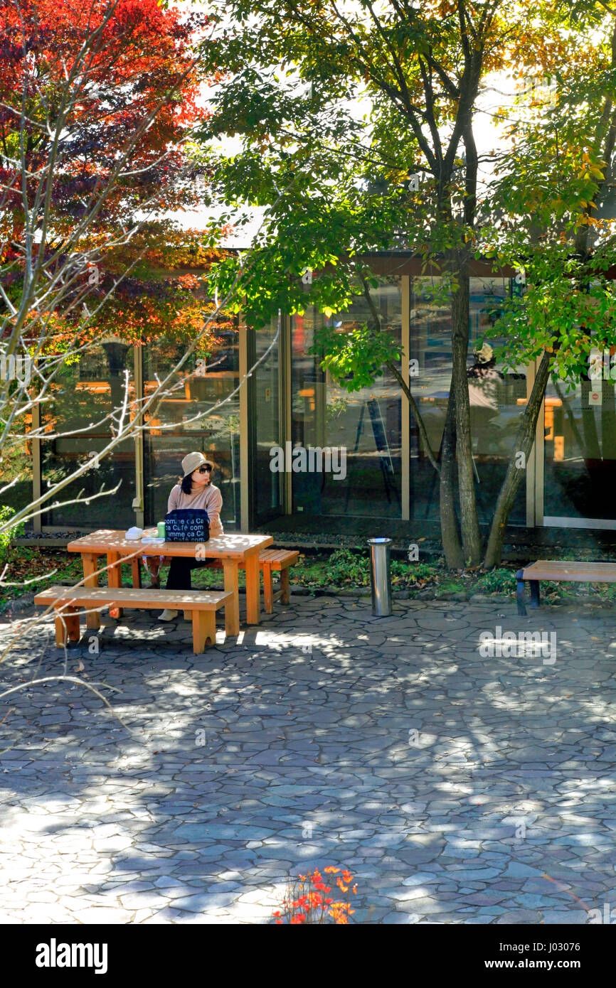 Japanese coutryside hi-res stock photography and images - Alamy