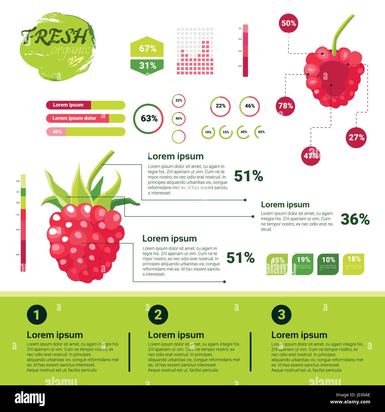 Fresh Organic Infographics Natural Fruits Growth, Agriculture And ...