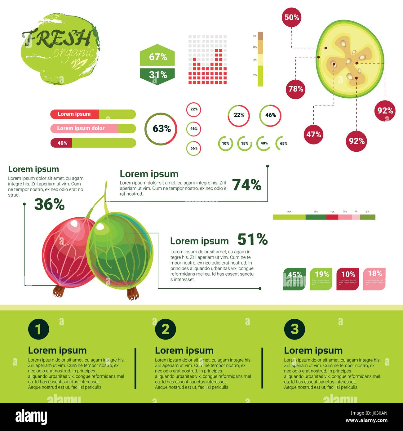 Fresh Organic Infographics Natural Fruits Growth, Agriculture And ...