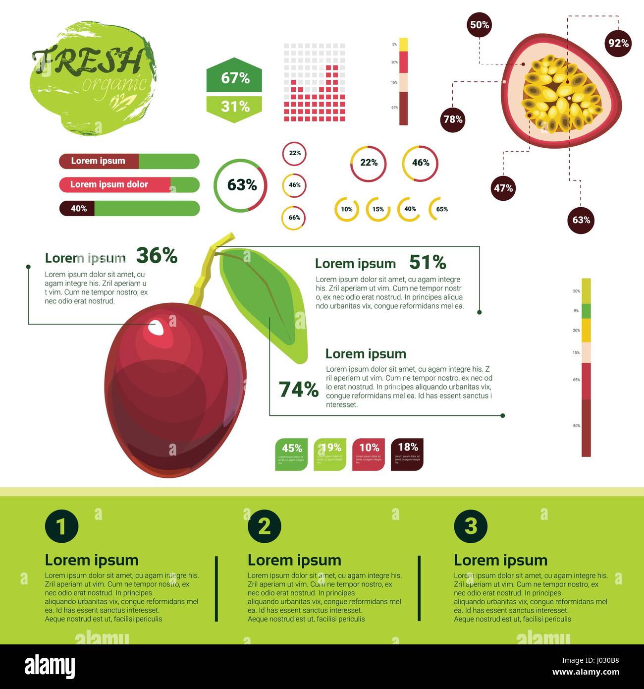 Fresh Organic Infographics Natural Fruits Growth, Agriculture And ...