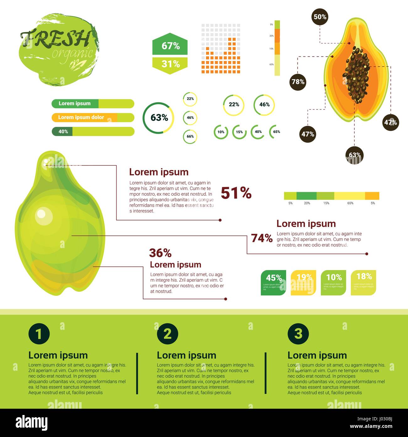 Fresh Organic Infographics Natural Fruits Growth, Agriculture And ...