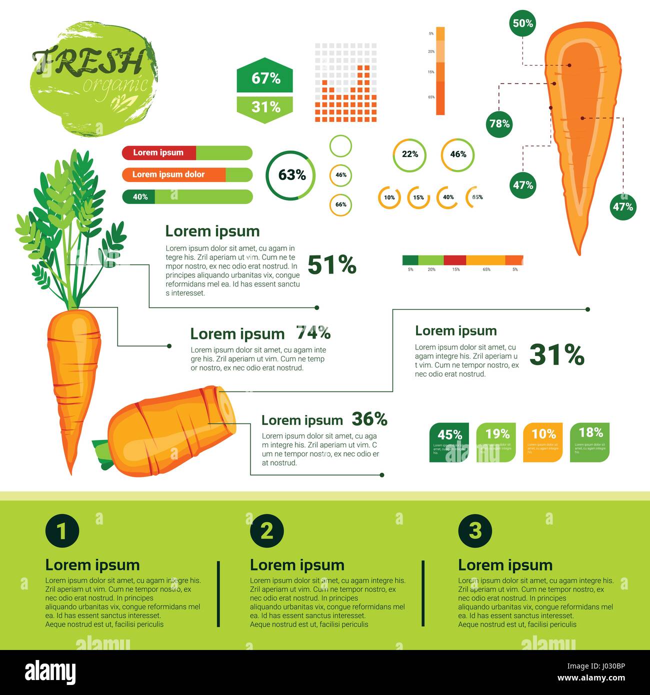 Fresh Organic Infographics Natural Vagetables Growth, Agriculture And ...