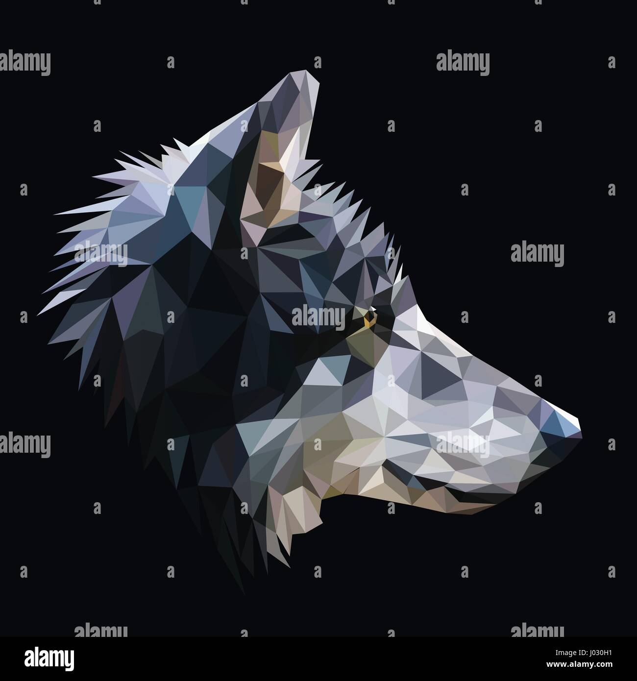 Wolf low poly design. Triangle vector illustration Stock Vector Image ...