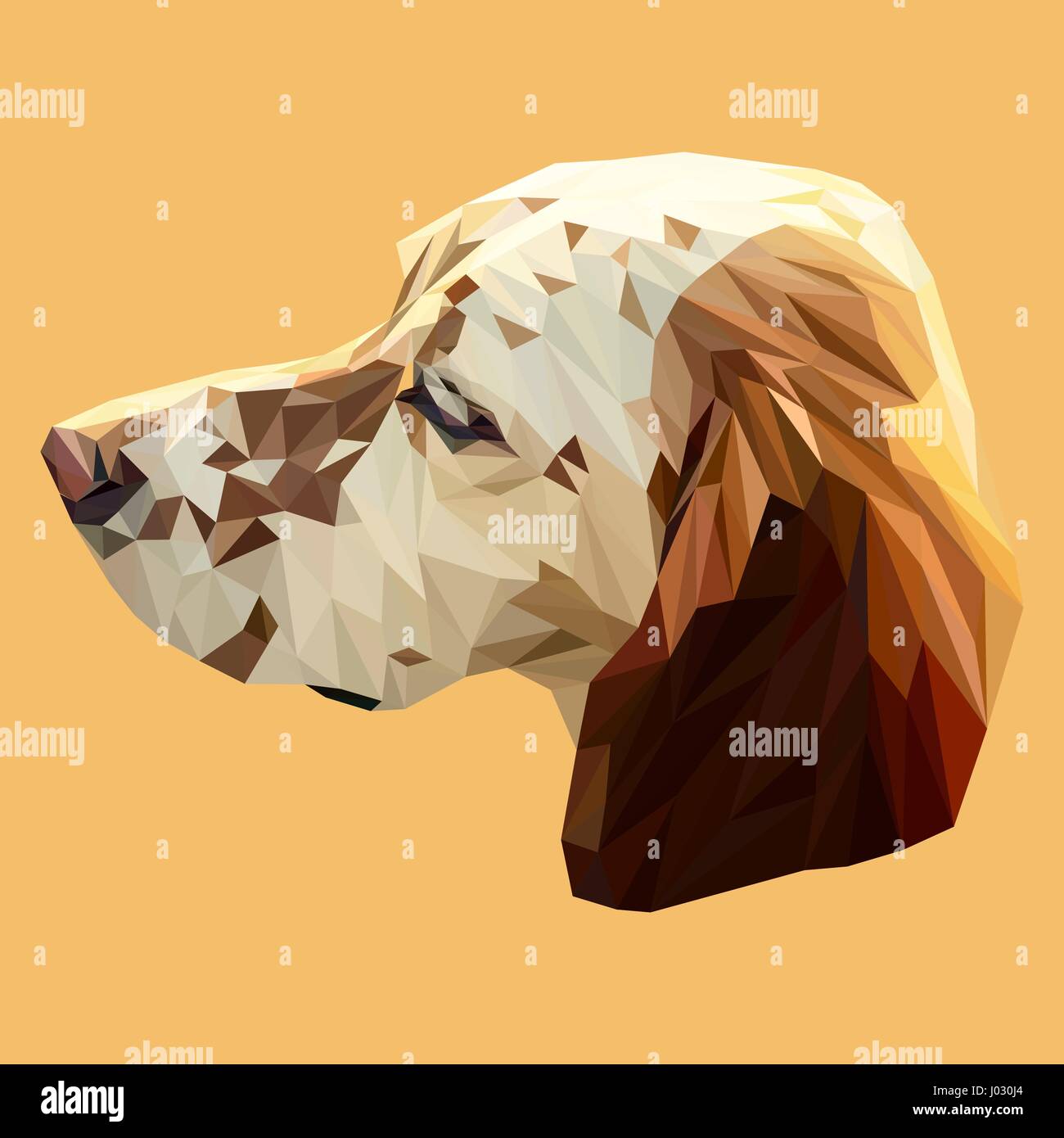 Irish Setter dog animal low poly design. Triangle vector illustration ...