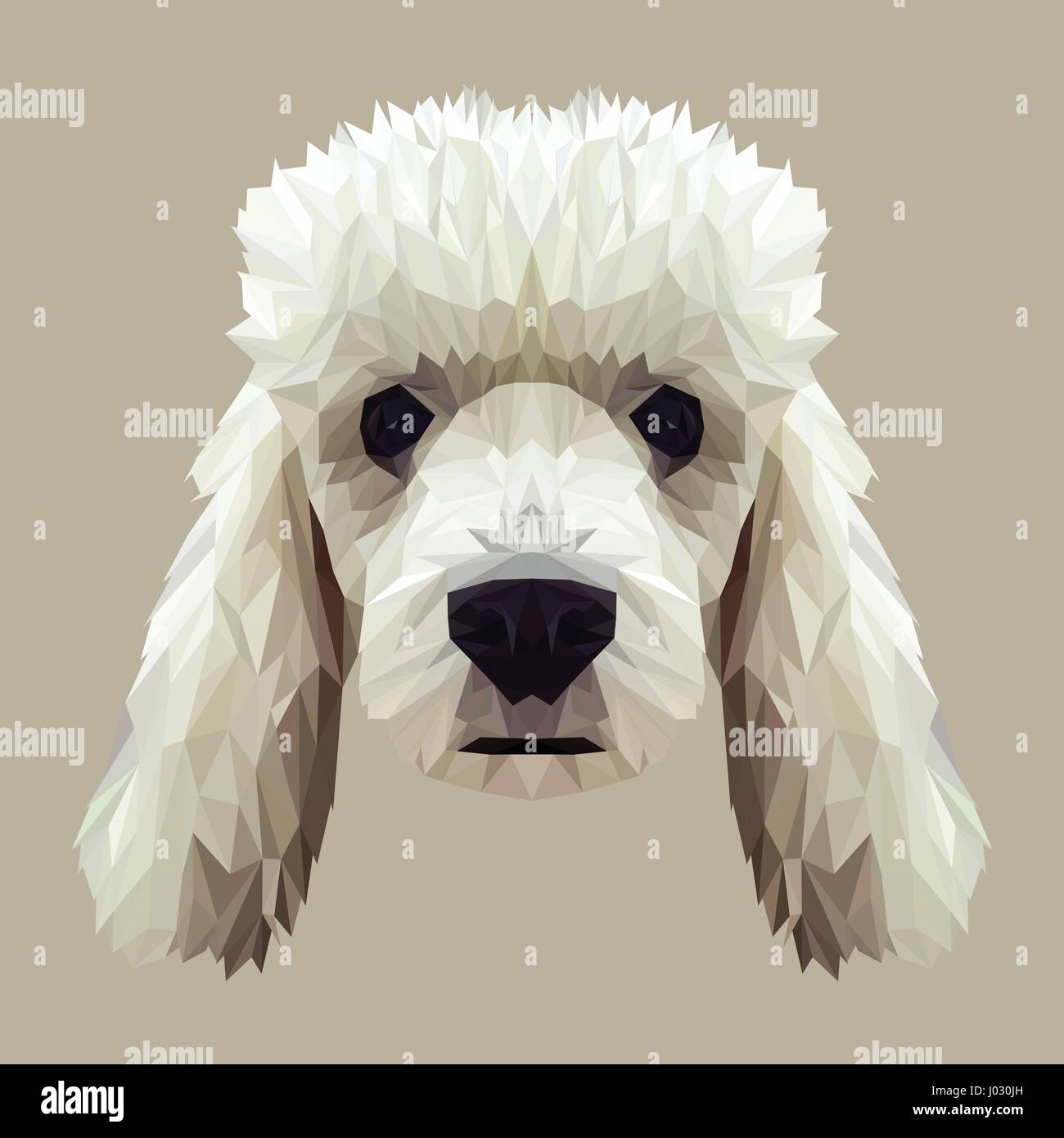 Dog polygonal hi-res stock photography and images - Alamy