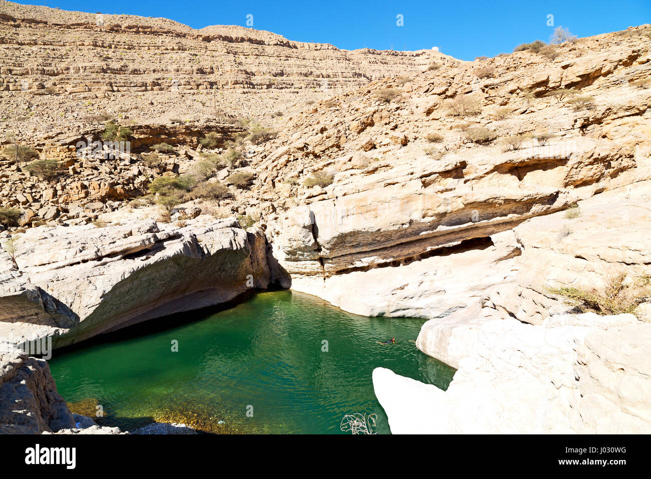 oman old mountain and water in canyon wadi oasi nature paradise Stock ...