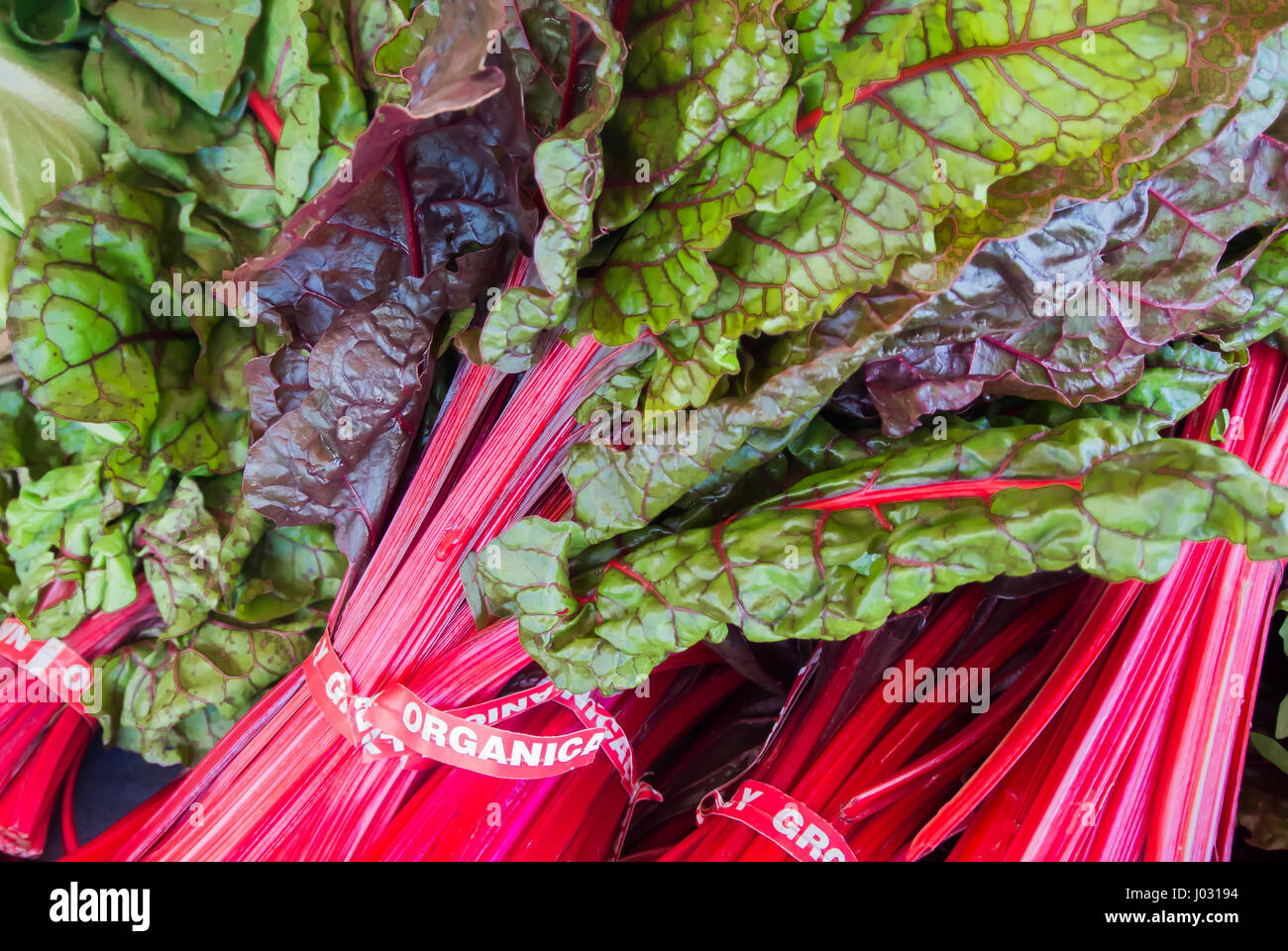 Red Chard - Close-up Stock Photo - Alamy