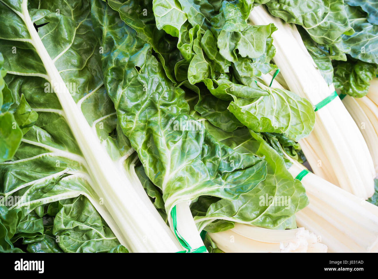 White Chard - Close-up Stock Photo - Alamy