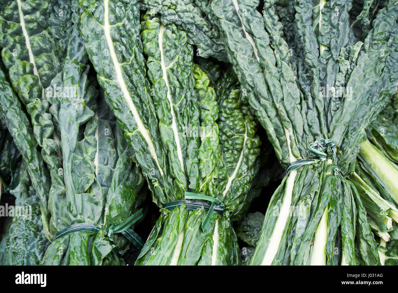 Kale - Close-Up Stock Photo - Alamy