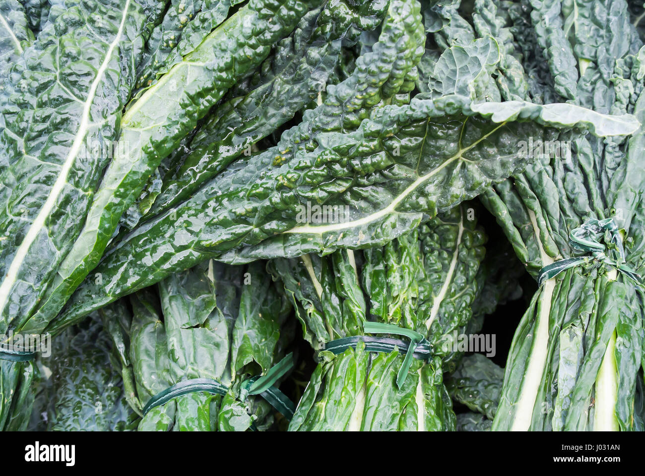 Kale eating hi-res stock photography and images - Alamy