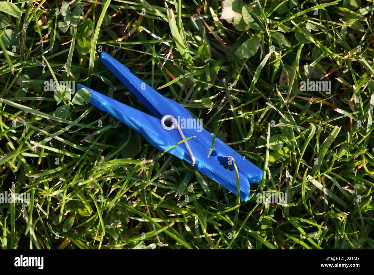 Plastic clothes peg hi-res stock photography and images - Alamy